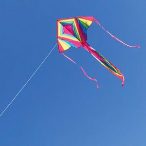 In the Breeze 3313-45 Inch Dayglow Fly-Hi Kite - Fun, Easy Flying Kite