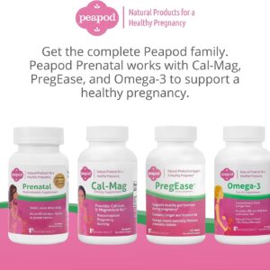 Fairhaven Health PeaPod Prenatal Multivitamin - 1 Per Day, Light Vanilla Flavor - Pregnancy Must Haves for Women and Baby Health - includes Iron, Vitamin C, and Folic Acid - 2 Month Supply