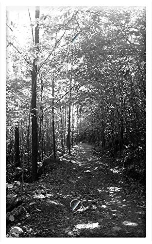 Single-Gang Blank Wall Plate Cover - Forest Woods Trail Trek Hike Path Nature Trees