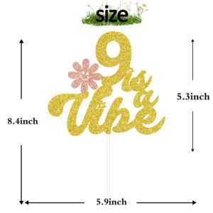 Happy 9th Birthday Cake Topper, 9 is a Vibe, Cheers to 9 Years, Glittery Groovy Daisy 9th Birthday Party Decorations Supplies