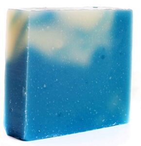 360feel men's cool water cologne soap -large 5oz organic castile handmade soap bar -bold masculine fragrance- pure essential oil natural soaps- made in usa