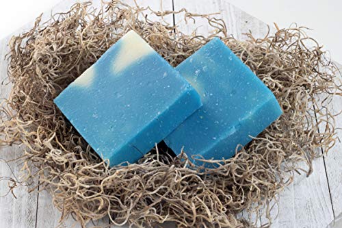 360Feel Men's Cool Water Cologne Soap -Large 5oz Organic Castile Handmade Soap bar -Bold Masculine fragrance- Pure Essential Oil Natural Soaps- Made in USA