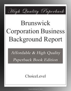 brunswick corporation business background report