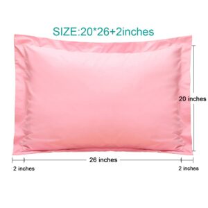 NTBAY Standard Pillow Shams - 2 Pack Brushed Microfiber 20x26 Sham Covers - Super Soft and Cozy, Wrinkle, Fade, Stain Resistant 20x26 Inches Oxford Pillowcases, Pink