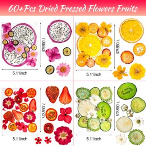 60+ Pieces Dried Pressed Flowers Fruits Set, Real Flowers Fruits for Resin, Natural Fruits Flowers Kit for Crapbooking DIY Art Crafts, Epoxy Resin Jewelry Molds, Candle, Soap Making, Nails DéCor