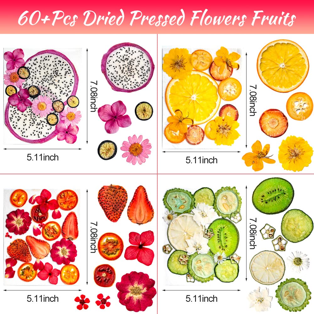 60+ Pieces Dried Pressed Flowers Fruits Set, Real Flowers Fruits for Resin, Natural Fruits Flowers Kit for Crapbooking DIY Art Crafts, Epoxy Resin Jewelry Molds, Candle, Soap Making, Nails DéCor