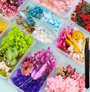 dried pressed flowers mixed box for resin random, with 1 tweezers, real natural dry mixed flowers leaves bulk herbs kit for scrapbooking diy art crafts, nail, candle, soap making