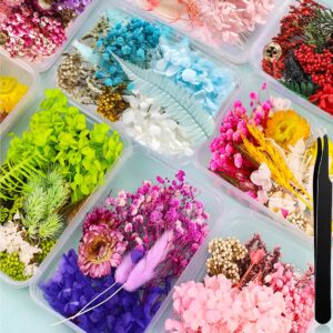 Dried Pressed Flowers Mixed Box for Resin Random, with 1 Tweezers, Real Natural Dry Mixed Flowers Leaves Bulk Herbs Kit for Scrapbooking DIY Art Crafts, Nail, Candle, Soap Making