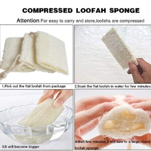 Exfoliating Loofah and Soap Mold Kit-Natural Loofah Sponges 4 Packs with Round Silicone Soap Mold Making Tray 6 Cavities for Body Back Skin Care Cleansing 5 inches Luffa with Jute Twine