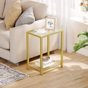 HOOBRO C-Shaped End Table and Side Table Bundle, Tempered Glass Bedside Table, Modern Metal Frame, for Office, Bedroom, Living Room, Study GD04SF01-GD76BZ01