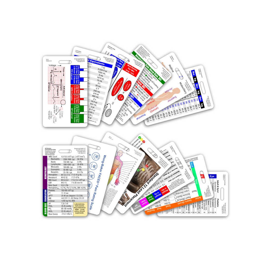 Complete Nurse RN CNA NA Vertical Badge Card Set - 13 Cards