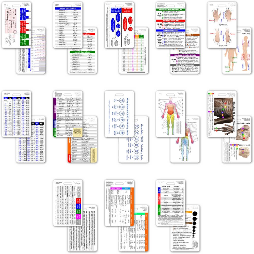 Complete Nurse RN CNA NA Vertical Badge Card Set - 13 Cards