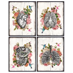 human anatomy floral hummingbird wall art poster set - 8x10 rustic heart, brain, lungs for doctor, medical office, living room, bedroom - shabby chic goth gift for er nurse practitioner, rn, cna