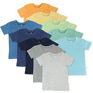 honestbaby unisex baby organic cotton short sleeve t-shirt multi-packs infant and toddler t shirts, 10-pack rainbow boy, 2t us