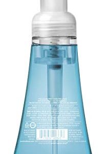 Method Foaming Hand Soap, Sea Minerals, Paraben and Phthalate Free, Biodegradable Formula, 10 Fl Oz (Pack of 6)