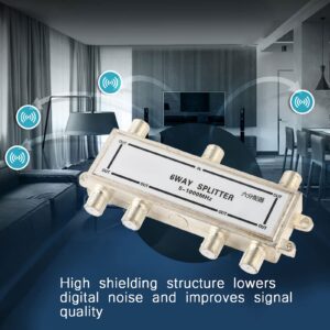 Restokki 6 Way Coaxial Cable Splitter 5-1000MHz, Cable Splitter Work with CATV, Satellite TV,Antenna System and MoCA Configurations