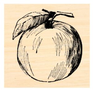 apple rubber stamp p53