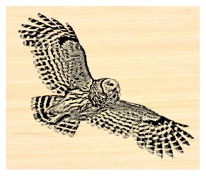 owl rubber stamp p53