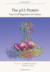 the p53 protein: from cell regulation to cancer (cold spring harbor perspectives in medicine)