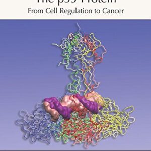 The p53 Protein: From Cell Regulation to Cancer (Cold Spring Harbor Perspectives in Medicine)