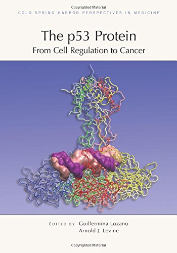 The p53 Protein: From Cell Regulation to Cancer (Cold Spring Harbor Perspectives in Medicine)