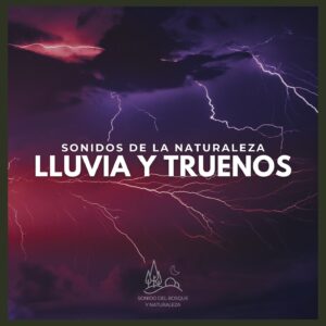 sonidos de la naturaleza: lluvia y truenos (p53)