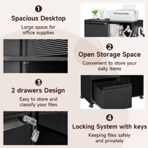 AFAIF Lateral File Cabinet, 2 Drawer File Cabinet with Lock, Printer Cabinet Printer Stand with Storage, Metal Mobile Filing Cabinet Home Office Organization Furniture for Letter/A4 Size Files