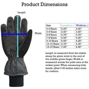 N'Ice Caps Kids Waterproof Winter Thinsulate Warm Gloves (Black, 10-12 Years)