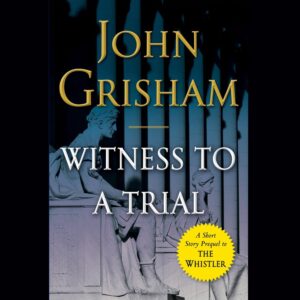 witness to a trial: a short story prequel to the whistler