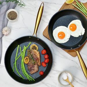 Non Stick Frying Pans Set with Lids, 10 & 11 Inch PFOA-Free Granite Coating Fry Pan, 4 PCS Skillet Sets for Cooking, Stainless Steel Handle Chef’s Pan, Gas Stove Top Induction, Oven Dishwasher Safe