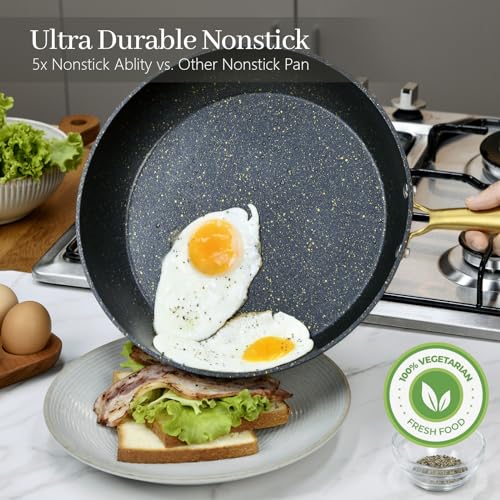 Non Stick Frying Pans Set with Lids, 10 & 11 Inch PFOA-Free Granite Coating Fry Pan, 4 PCS Skillet Sets for Cooking, Stainless Steel Handle Chef’s Pan, Gas Stove Top Induction, Oven Dishwasher Safe