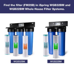 iSpring Whole House Water Filter Cartridge, Iron & Manganese Reducing Water Filter Whole House, 4.5" x 20", Model: FM25B