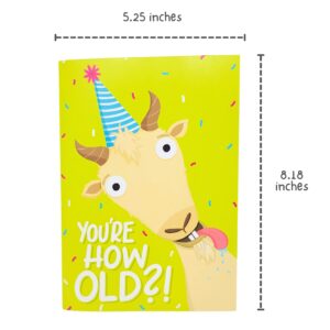 Good Egg Greetings Screaming Goat Birthday Card | Funny Birthday Card for Men Women Kids | Screaming Goat Meme Sound and Shaking Head Motion Bday Greeting Cards 5.25 x 8.18 Inch