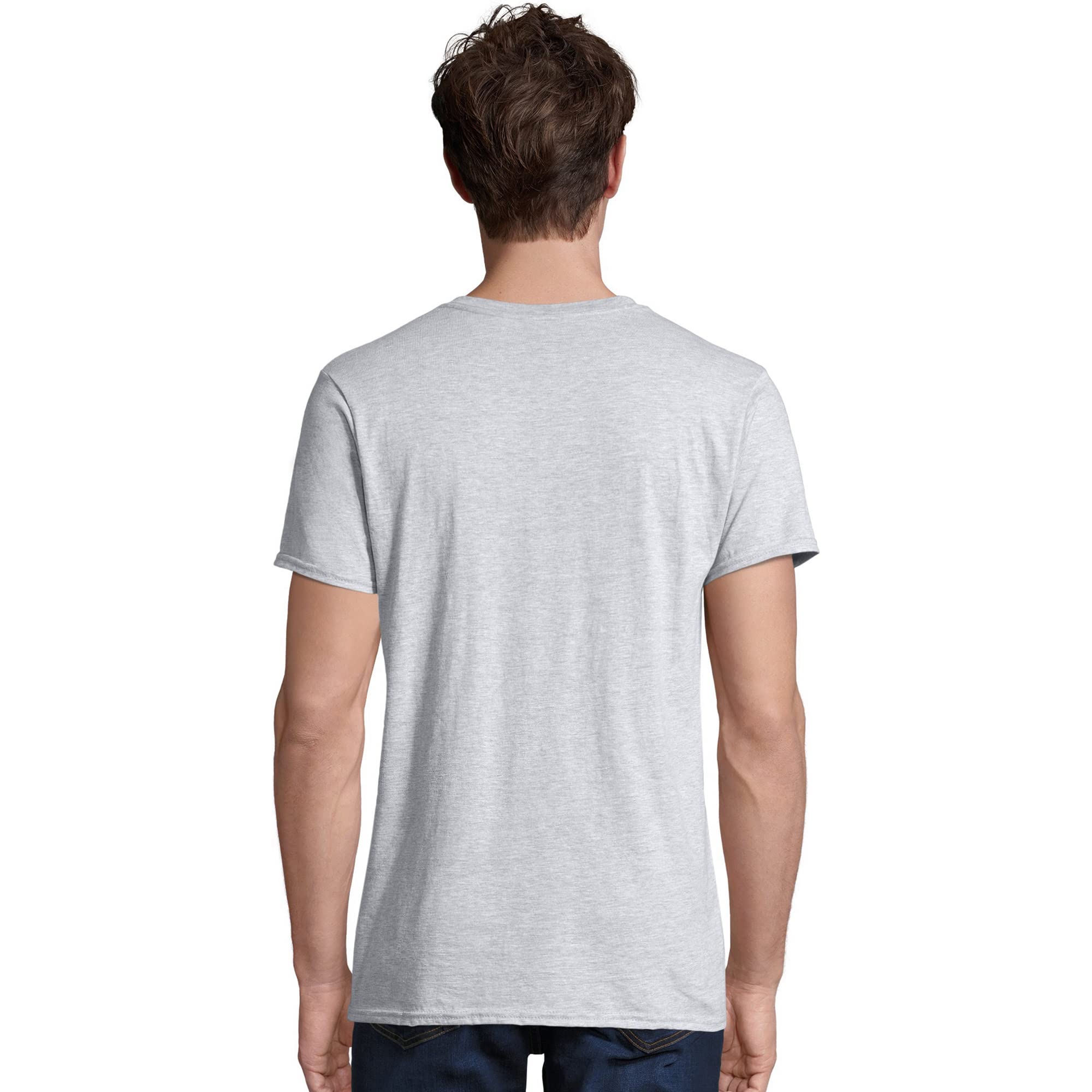 Hanes Men's Nano Premium Cotton T-Shirt (Pack of 2), Light Steel, Small