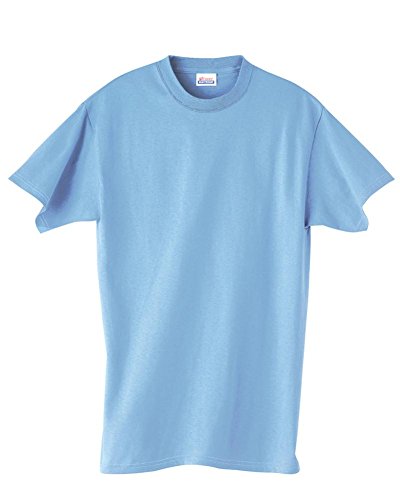 Hanes 5.2 oz., 50/50 ComfortBlend EcoSmart T-Shirt, Large, LIGHT BLUE