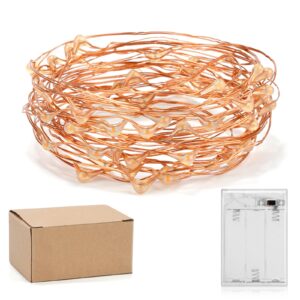 Ariceleo Led Fairy Lights Battery Operated, 1 Pack Mini Battery Powered Copper Wire Starry Fairy Lights for Bedroom, Christmas, Parties, Wedding, Centerpiece, Decoration (5m/16ft Warm White)