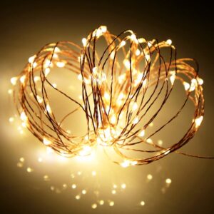 Ariceleo Led Fairy Lights Battery Operated, 1 Pack Mini Battery Powered Copper Wire Starry Fairy Lights for Bedroom, Christmas, Parties, Wedding, Centerpiece, Decoration (5m/16ft Warm White)