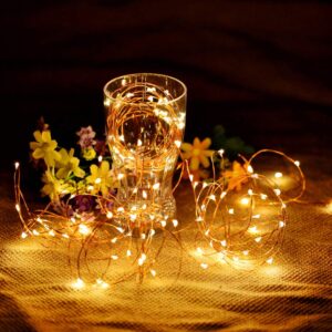 Mikasol Fairy Lights Battery Operated, 2 Packs Mini 3*AAA Battery Powered Copper Wire Led Starry String Lights Firefly Lights for Bedroom, Christmas, Parties, Decoration (5m/16ft Warm White)