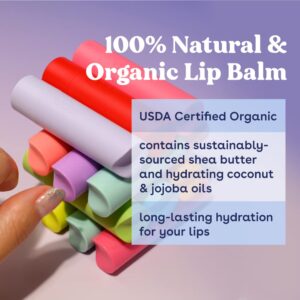 eos USDA Organic Lip Balm - Sweet Mint | Lip Care to Nourish Dry Lips | 100% Natural and Gluten Free | Long Lasting Hydration | 0.14 oz | 4 Pack