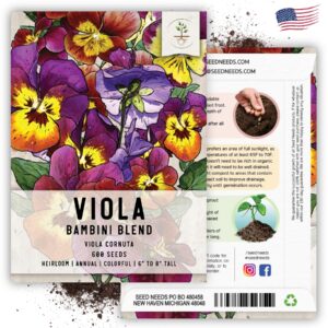 Seed Needs, Bambini Viola Seeds - 600 Heirloom Seeds for Planting Viola cornuta - Beautiful Annual Flowers, Attracts Pollinators/Butterflies (1 Pack)