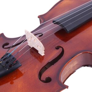 Ktaxon Violin 4/4 for Kids & Adults, Full Size Solid Wood Violin, Acoustic Fiddle with Portable Case and Accessories-Carefully Selected Solid Spruce Wood and Premium Ebony Fittings(Varnish)