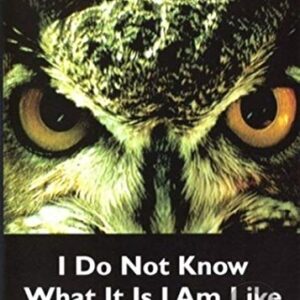 Bill Viola - I Do Not Know What It Is I Am Like [DVD]