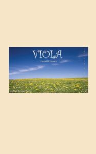 viola: fields of flowers