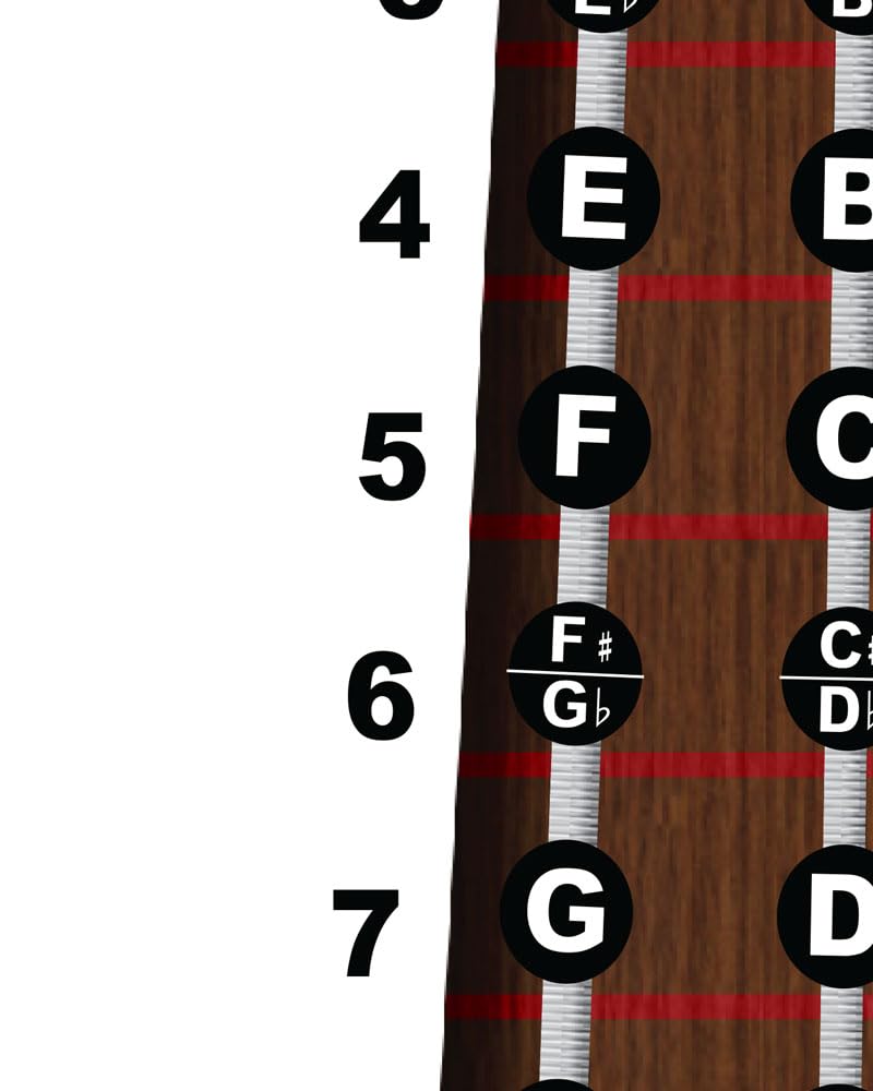 Laminated Viola Fingerboard Note Instructional Chart - Poster includes Circle of 5ths & Nashville Numbering System 11x17 | A New Song Music