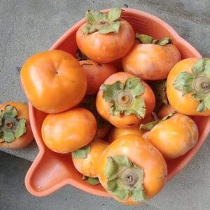 Fresh Persimmons- 5LBS