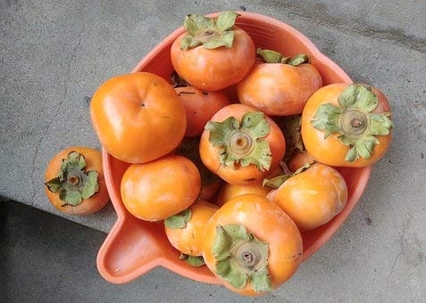 Fresh Persimmons- 5LBS