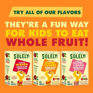 Solely Fruit Gummies Variety Pack of 4 Bundle - 1 of each flavor (Organic Mango, Mango and Orange, Mango and Guava, Mango and Passion Fruit) 13 oz total No Added Sugar Vegan Organic Whole Dried Fruit Snacks