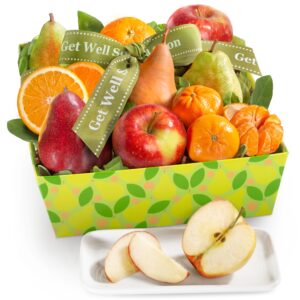 Get Well Fruit Favorites Basket