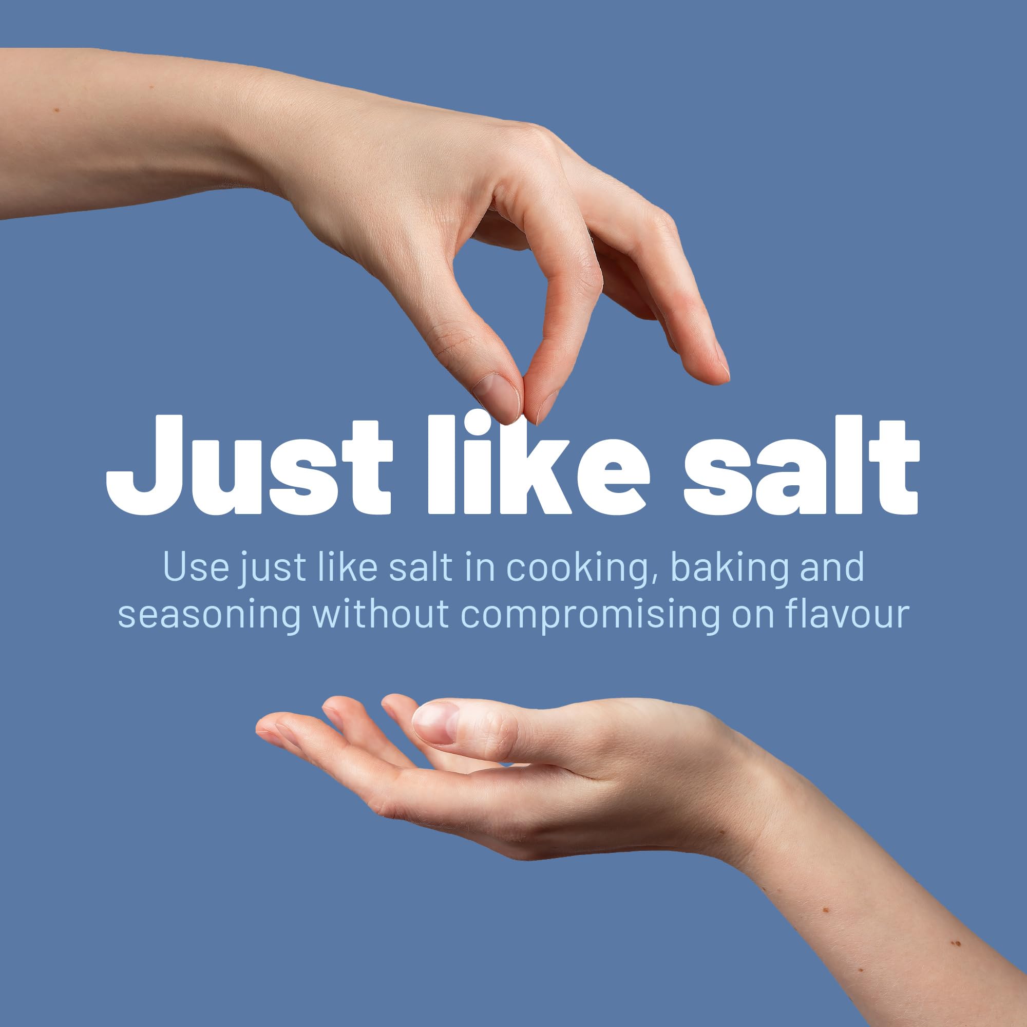 LOSALT Reduced Sodium Salt, 12.25 OZ