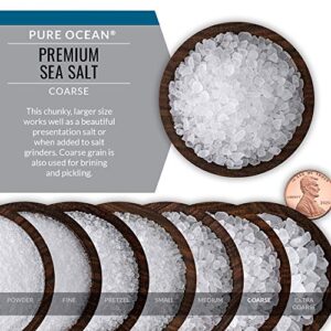 SaltWorks Pure Ocean Sea Salt, Coarse Grain, 5 Pound Bag